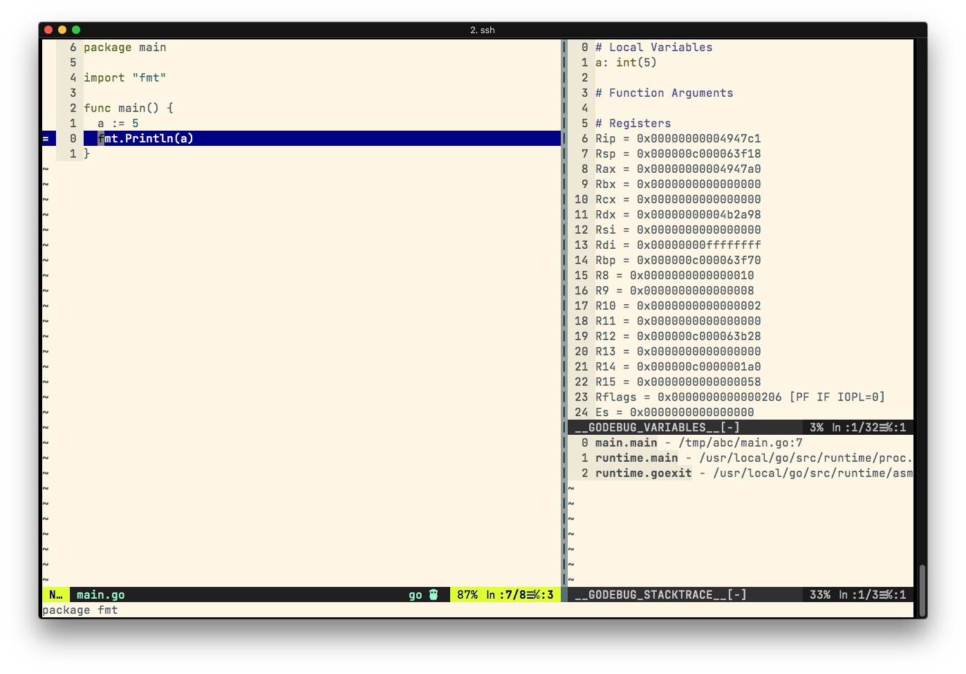 Vim Go And Remote Debugging Osama Elnaggar